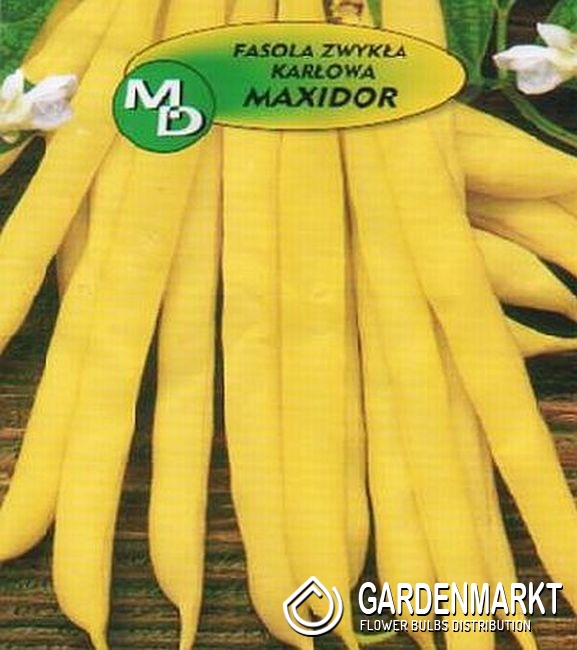 38 Bean Maxidor 30g - Gardenmarkt.com